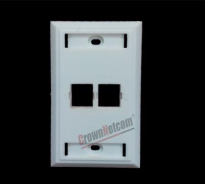China 2Ports Network US Wall Plates  For RJ45 Keystone Jacks ABS Face Plate for sale