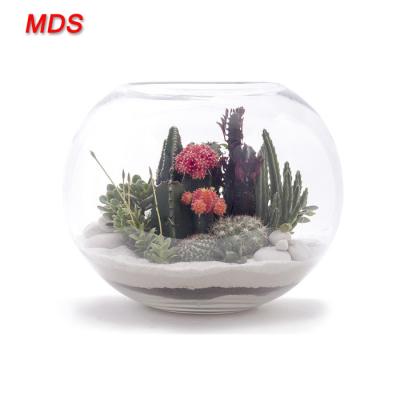 China Hot sale sphere shape large glass fish bowl decorations for sale