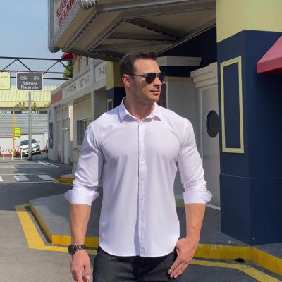 Cina 2022 T-shirt maschile di grandi dimensioni in tessuto di poplin manica lunga stile casual T-shirt di taglia più in vendita