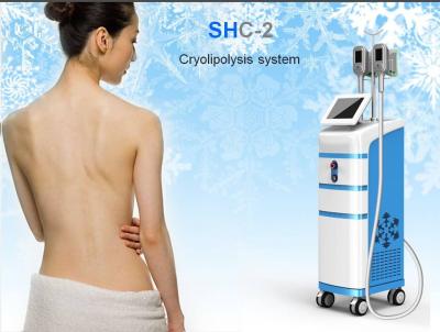 China Newest Cryo & Cold Technology Cryolipo Lipo Cryo Slimming Machine+cavitaion machine for sale