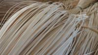China Rattan Cane Peel for sale