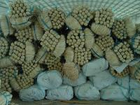 China Rattan Cane Peel for sale