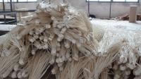 China Bleached Rattan Core for sale