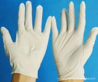 China Stretchable Latex M Disposable Exam Gloves for sale