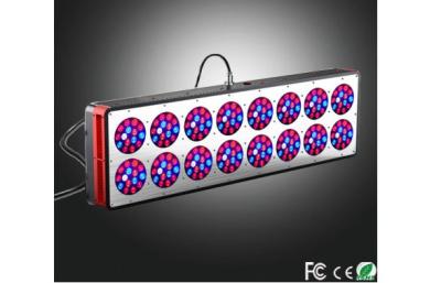 China 9600lm 580 Watt Led Grow Plant Lights 90° / 120° Beam Angle for sale