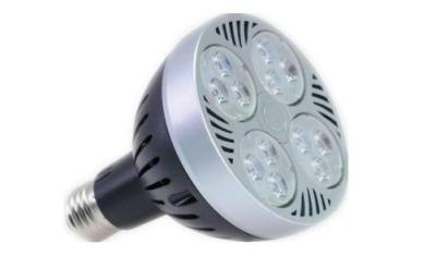 China Dimmable 25 Watt LED PAR Cans Osram Par30 Long Neck Version for sale