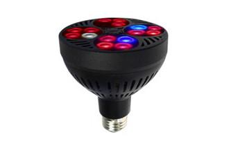 China Dimmable 35W Grow Par Cans Lighting Cree 45mil Par30 3 Years Warranty for sale