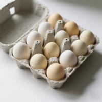 China Handmade Egg Box Paper Gift Closure Type Snap For Packing Box for sale