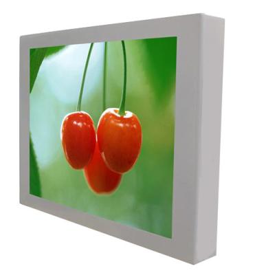 China 3G Network WIFI Digital Signage Player 10 inch Wall Mounted For Airports for sale
