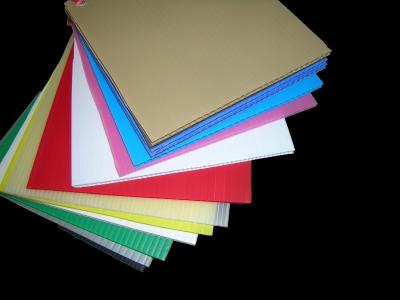 Cina Macchina vuota di plastica dell'estrusione dello strato del policarbonato di griglia in vendita
