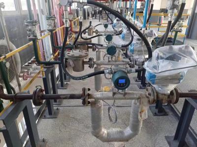 China Faça o fluxo livre de erros Coriolis Mass Flowmeter combinação perfeita de precisão e eficiência à venda