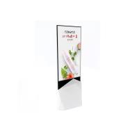 China Ceiling Mount 43