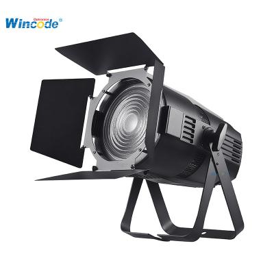 Cina 200W/400W COB LED Fresnel Par Light Opzionale 20°/35°/45° Angolo Bi-Color DMX512 RDM in vendita