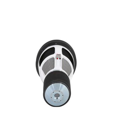 Cina altoparlante del Subwoofer dell'automobile 2kHz in vendita