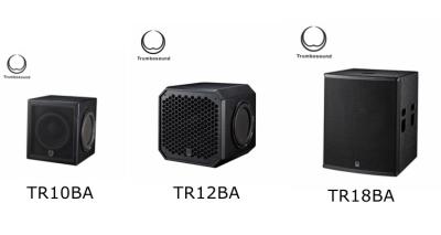 Cina 10 inch active full range loudspeaker two way loudspeaker Multifunctional speaker TR10A in vendita