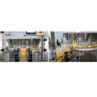 China Vegetables Fruits Salad Plastic Container Packaging Machine for sale