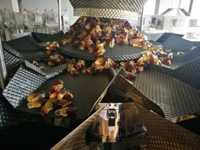 Cina bascula di 1.6L MultiHead in vendita