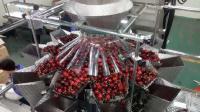 China Plastic Tray Multihead Weigher Packing Machine Automatic Filling for sale