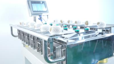 China os vegetais da máquina de empacotamento do manual de 250g 500g 1000g frutificam pesando à venda