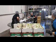 High Accuracy Food Weight Check Check Weigher in Packing Line