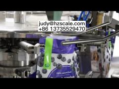 Multifuntcional Cranberry arándanos nuez de anacardos almendras cacahuete pie de pie de cerradura Bolso de cerradura