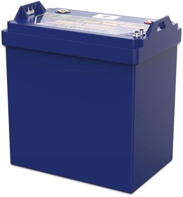 China 4.8 KWh 25.6V 60Ah Golf Cart Battery 2000+Cycles LFP Lithium Battery for sale