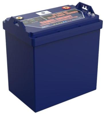 China 48V Golf Cart Battery RS485 Lithium 30ah Battery Bluetooth  Phosphate Battery for sale