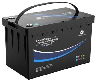 China 20KG Battery Lithium Ferrous Phosphate 2688Wh High Current 12.8 Volt Lifepo4 Battery for sale