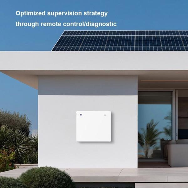 Quality 51.2V 50Ah LiFePO4 Battery Module for Residential Energy Storage for sale