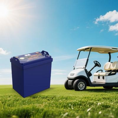 China 24V 60Ah LiFePO4 Golf Cart Battery for Golf Carts, Utility Vehicles and OEM Projects for sale