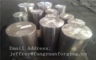 Cina La copertura di corpo forgiata della valvola dell'acciaio inossidabile di JIS ASTM ASME 316 ha forgiato il tondino in vendita