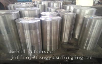 Cina La copertura di corpo forgiata della valvola dell'acciaio inossidabile di JIS ASTM ASME 316 ha forgiato il tondino in vendita
