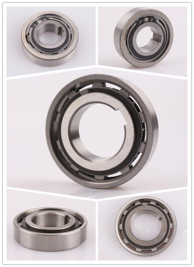 as (NSS TSS) Series One Way Clutch for Reducers