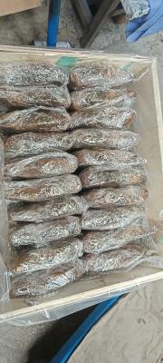 China backstopping clutch AV100 GV100 Alternative STIEBER one way freewheel clutch apply in Grain conveyors for sale