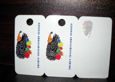 China PVC abnormal shape cards/Plastic Cards en venta