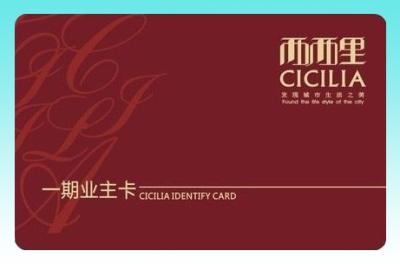 China Mini  IC S20 chip Card en venta