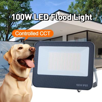 China Outdoor LED Flood Light 3CCT 3000K 4000K 6500K Adjustable color temperature IP65 waterproof grey material High quality lamp for sale