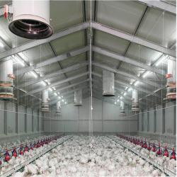 China Factory - YANTAI BAGEASE POULTRY FARMING EQUIRMENT CO.,LTD