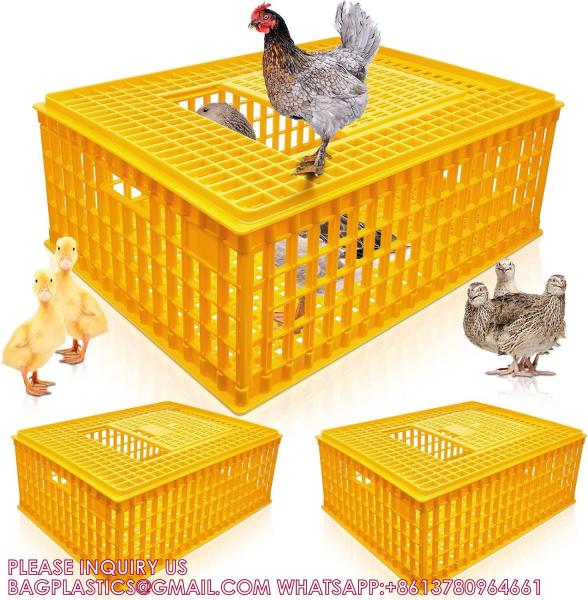 Quality Poultry Carrier Crate Chicken Transport Cage Bird Chicken Carrier Travel Crate Basket Box for sale