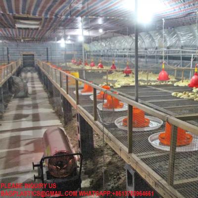 Quality 50kw Portable Poultry Farm Heating System Diesel Heater Brooder Chicken House for sale