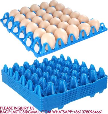 China Plastic Tray And Egg Box Plastic Egg Tray For 30 Holes Egg Plastic Tray Plastic Egg Racks for sale