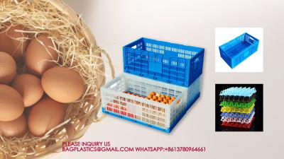 中国 Foldable Egg Basket Turnover Box,Egg Tray Transportation Tool, Egg Transport Basket 販売のため