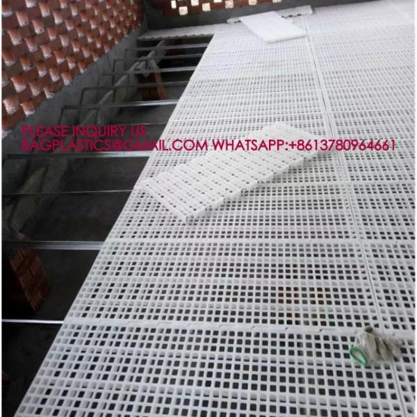 Quality 40mm Slatted Floor System In Poultry, PP Slatted Floor System, Plastic Floor For for sale
