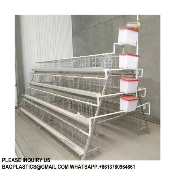 Quality A Type Automatic Egg Layer Chicken Farm Laying Hens Poultry Battery Cages Layer for sale