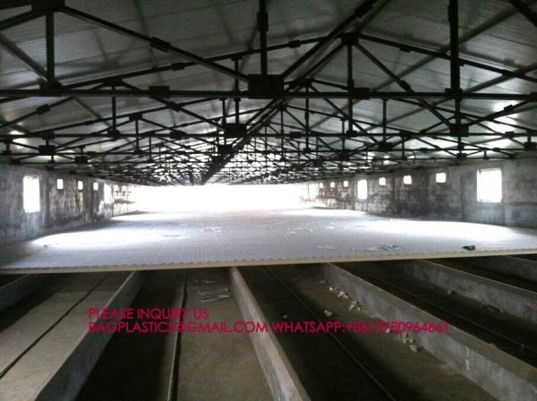 Quality Plastic Poultry Floors 500*1200mm Chicken duck Floor poultry animal husbandry for sale
