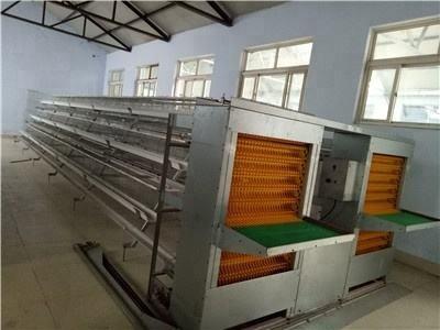 中国 Layer Cages 3 Rows 3 Tiers 4 Tiers A Type Layer Cage Automatic Layer Cage Egg Collection 販売のため
