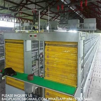 中国 Layer Cages 3 Rows 3 Tiers 4 Tiers A Type Layer Cage Automatic Layer Cage Egg Collection 販売のため