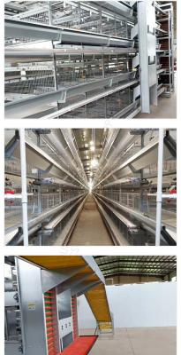 Китай Poultry Cage Broiler Farm Equipment Automatic Battery Cages System For Broiler Chicken продается