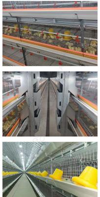 Китай Poultry Cage Broiler Farm Equipment Automatic Battery Cages System For Broiler Chicken продается