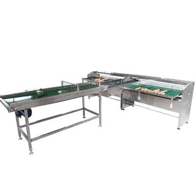 China Automatic Egg Sort Grade Weighing And Sorting Egg Machine Egg Grading Process Line Scale Grader Mini Sorter Egg Machine Commercial Egg Sorting Machine Automatic Egg Grading and Packing System for sale